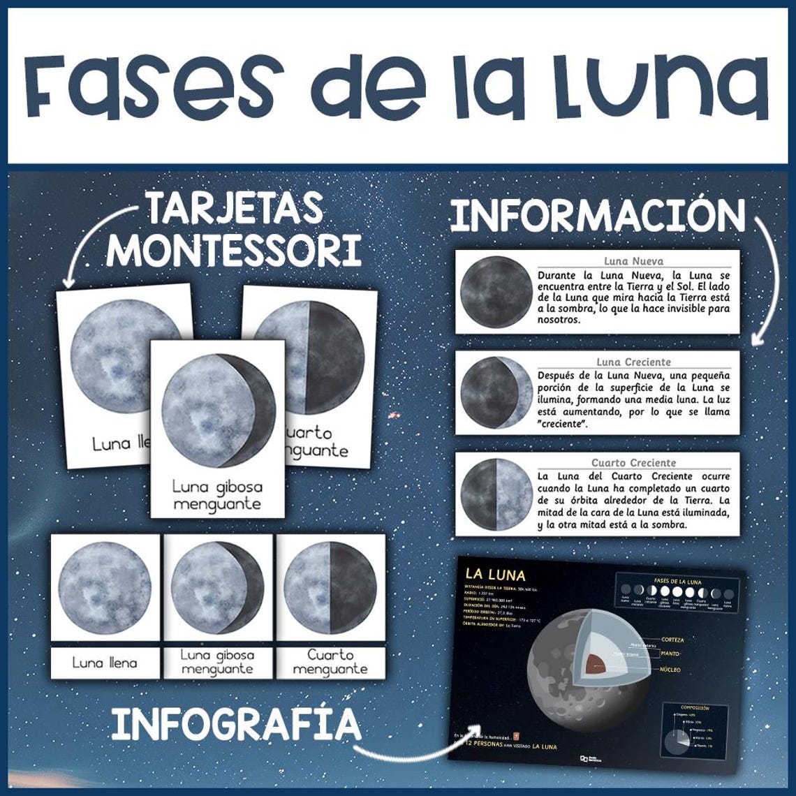 Moon Phases for Kids Moon Phases Flashcards Moon Phases and Space Solar ...