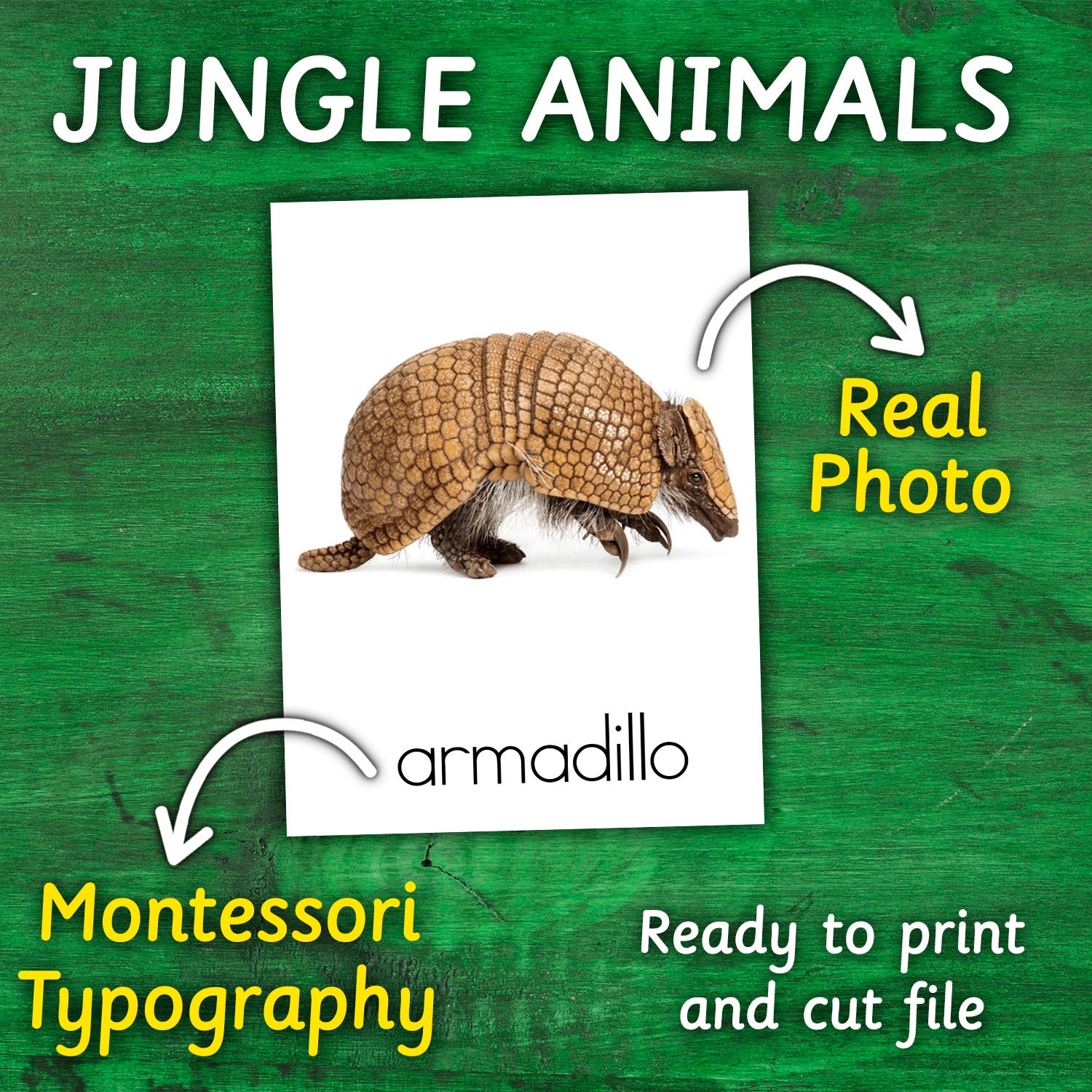 Jungle Animals Flashcards | Montessori 3-part Cards | Jungle Animals ...