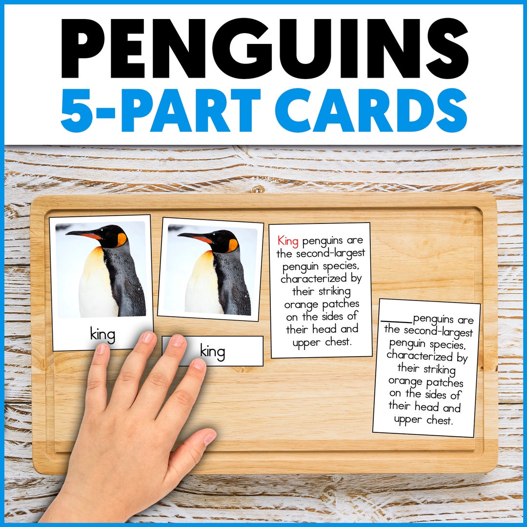 Penguins Cards Penguins Vocabulary Cards Penguin Species Vocabulary ...