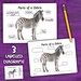 Zebra Anatomy Parts Zebra Diagram Zebra Parts Display Poster All About ...