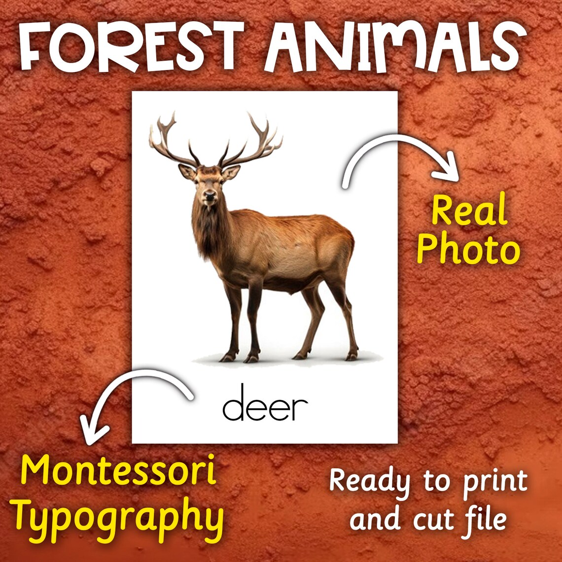 Forest Animals Flashcards | Montessori 3-part Cards | Forest Animals ...