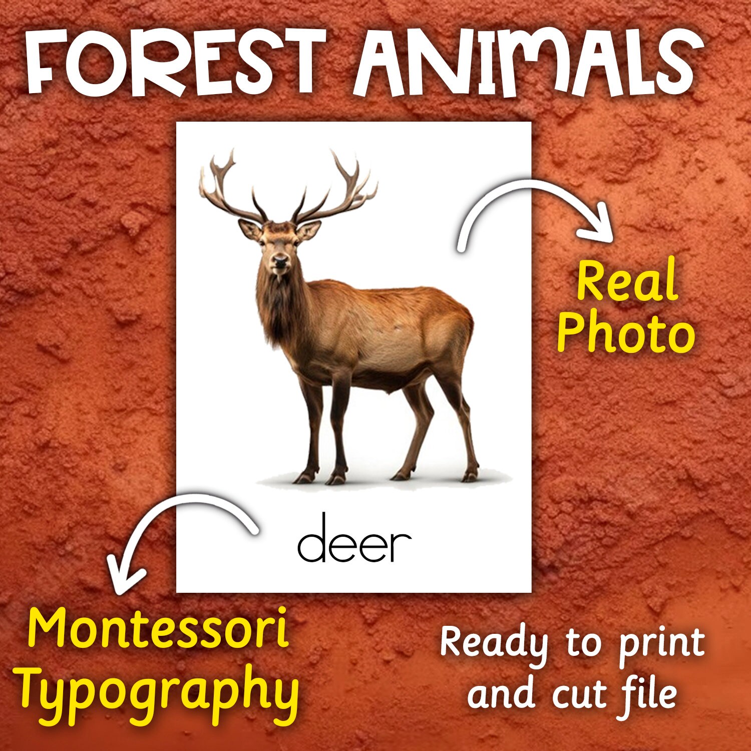 Forest Animals Flashcards | Montessori 3-part Cards | Forest Animals ...
