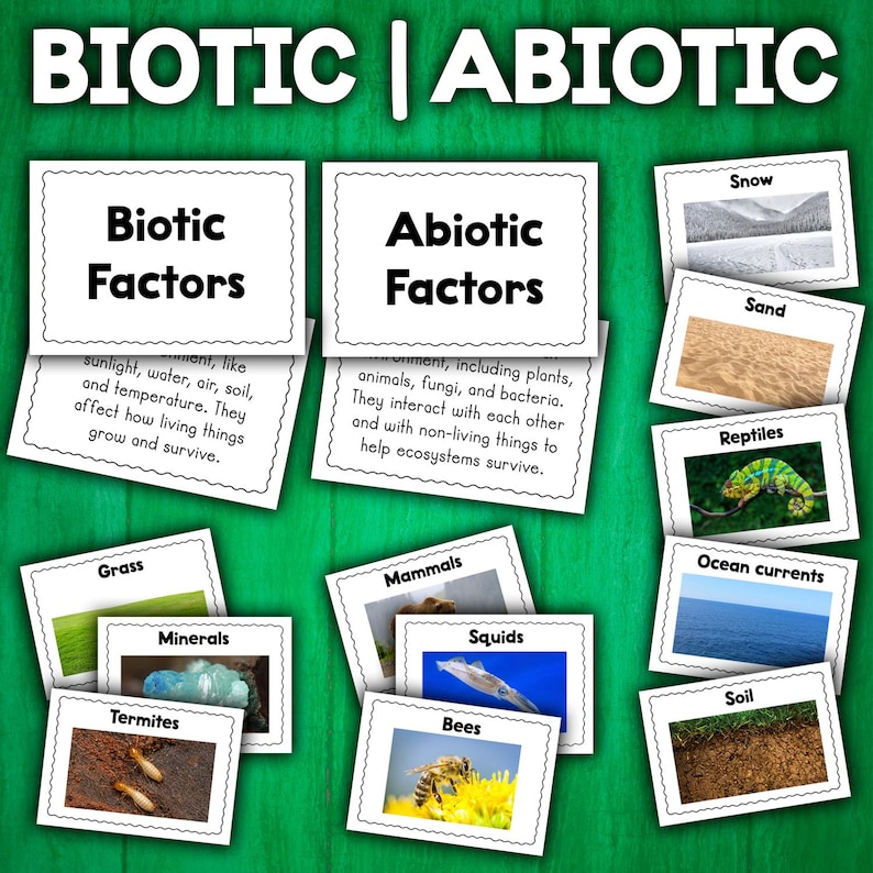 Biotic & Abiotic Factors Card Sort Activity | Components of Ecosystem ...