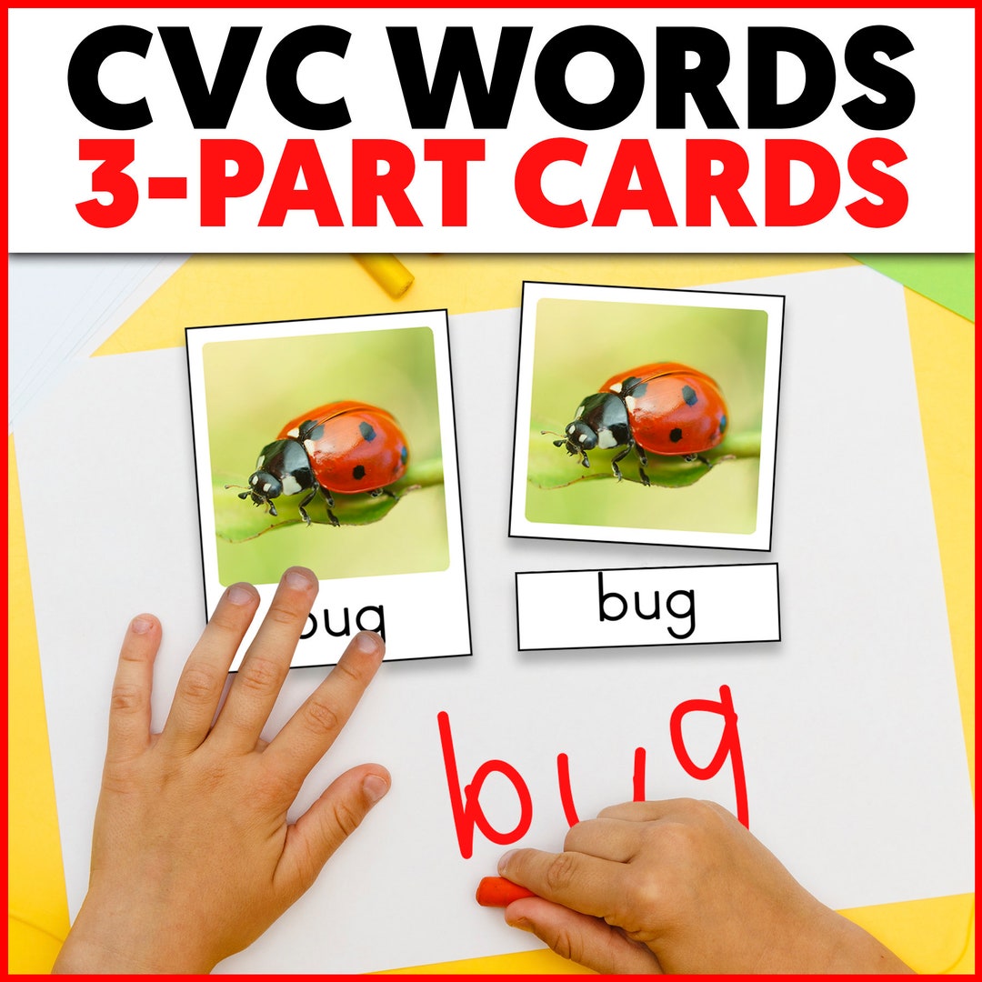 CVC Words 3-part Cards CVC Words Kindergarten Activities CVC Words and ...