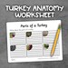Turkey Anatomy Parts Turkey Body Parts Labeled Turkey Diagram Turkey ...