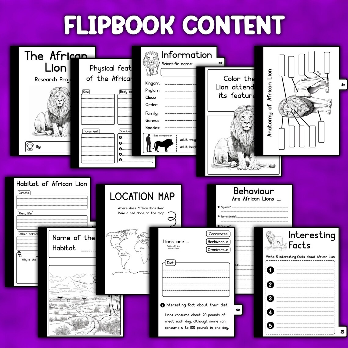 Lion Research Project | Science Writing Activity | Lion Research Report ...