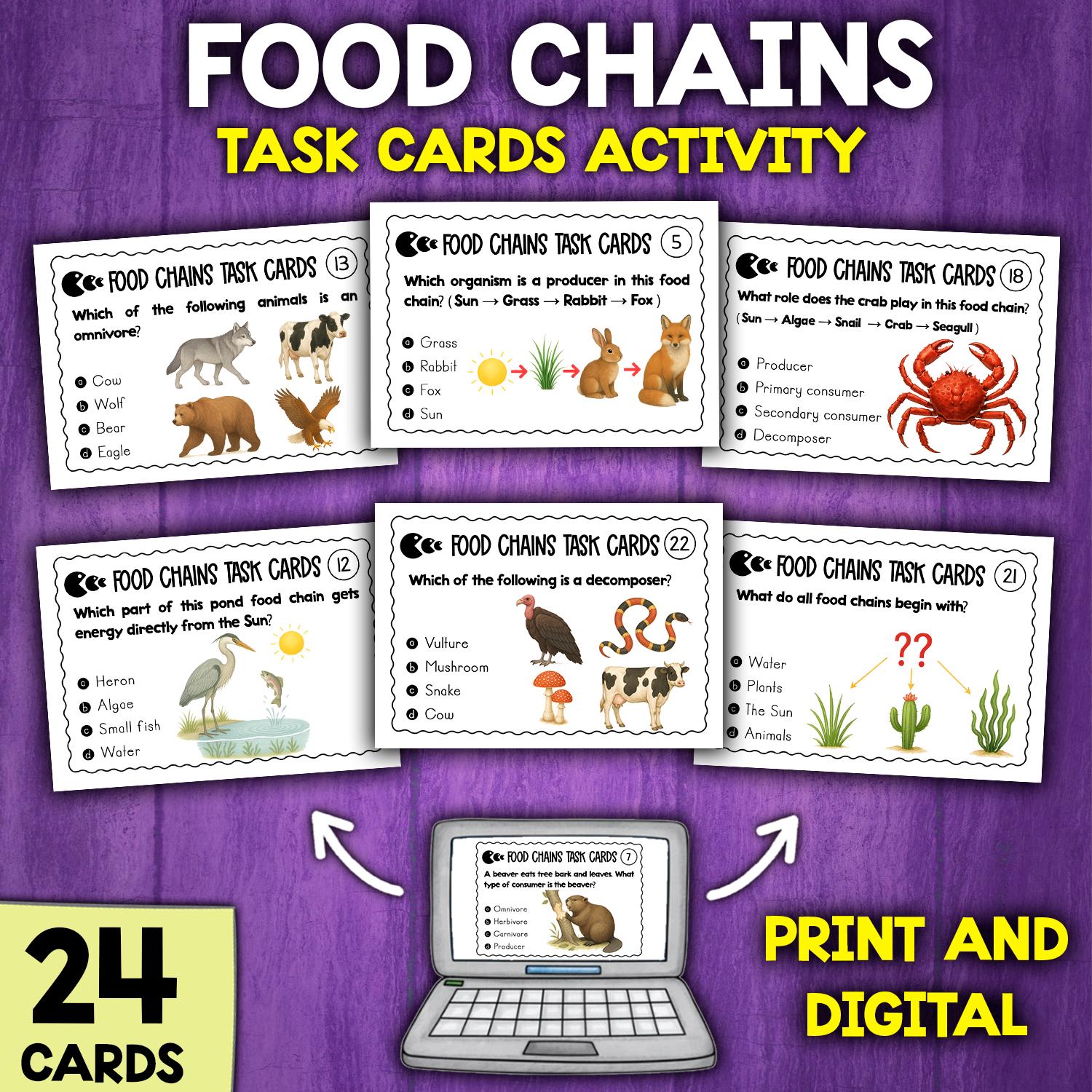 Food Chains Task Cards Activity | Ecosystems & Food Webs Activities - Etsy