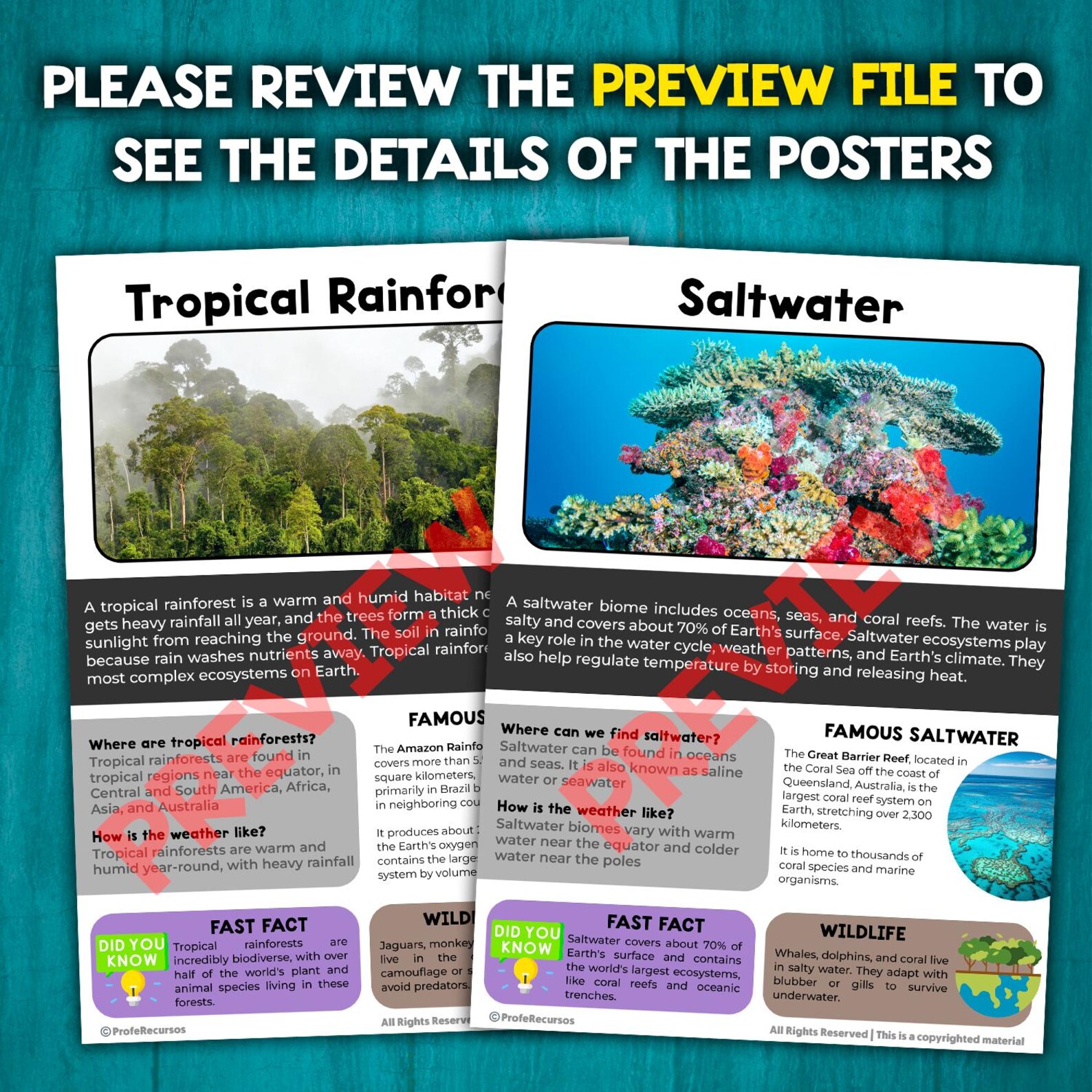 Biomes Information Posters | Reading Passages | Habitats of the World ...