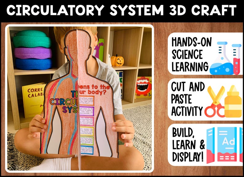 Circulatory System 3D Craft | Human Body Science Activity | Printable ...