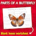 Parts of a Butterfly | Butterfly Anatomy Diagram | REAL IMAGE | Labeled ...