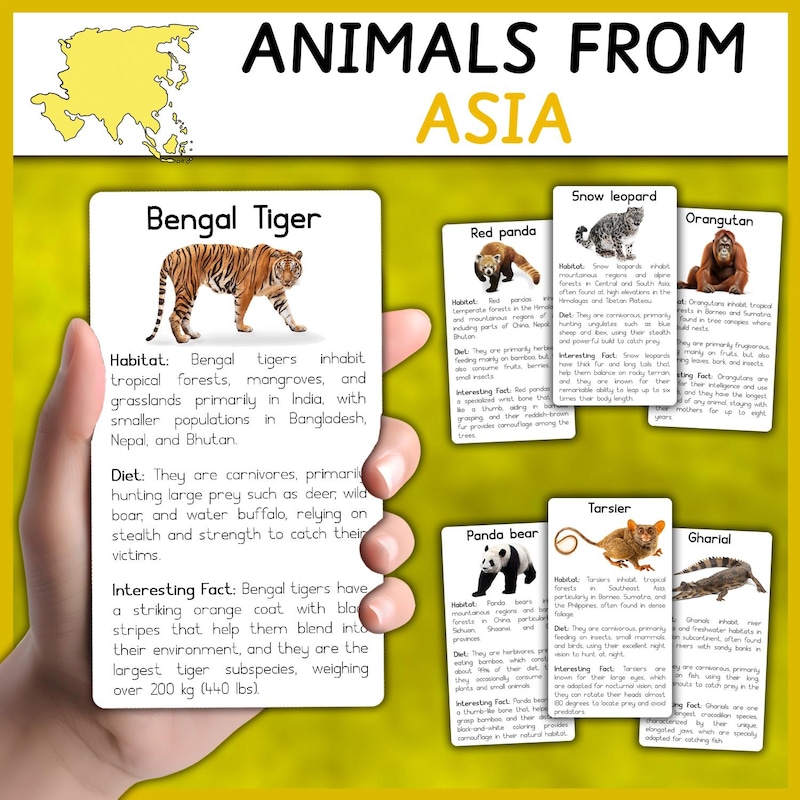 Asia - Etsy