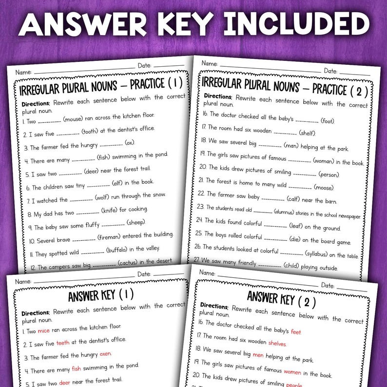 Irregular Plural Nouns Worksheet Activity | Irregular Plural Nouns ...