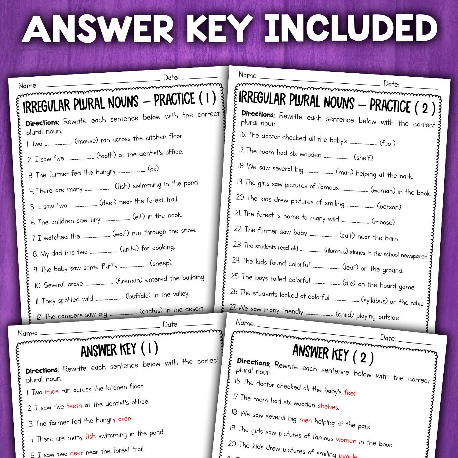 Irregular Plural Nouns Worksheet Activity | Irregular Plural Nouns ...