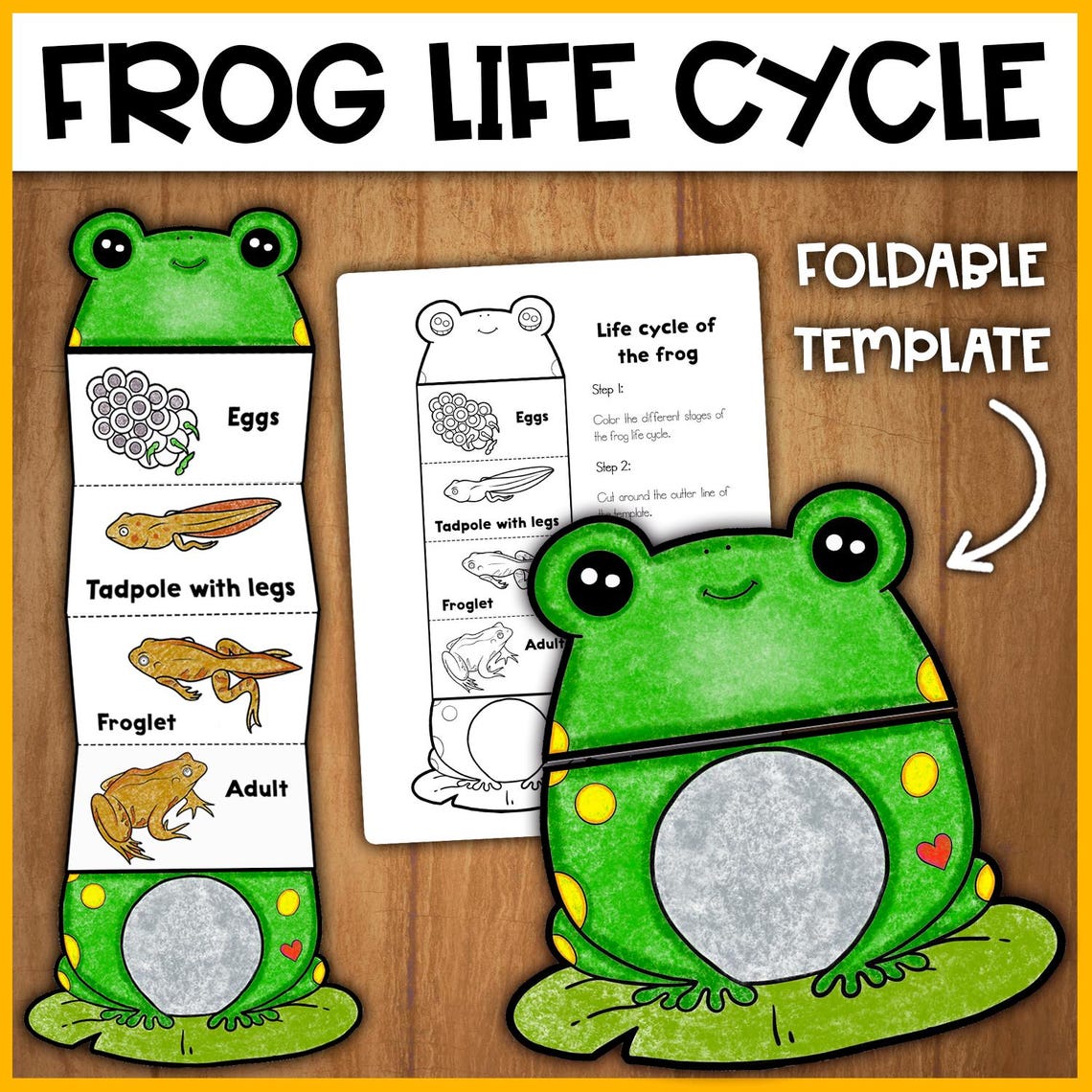 Frog Life Cycle Craft Foldable Template | Life Cycle of a Frog Activity ...