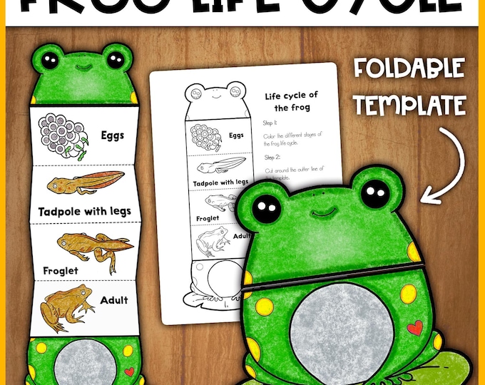 Frog Life Cycle Craft Foldable Template | Life Cycle of a Frog Activity ...