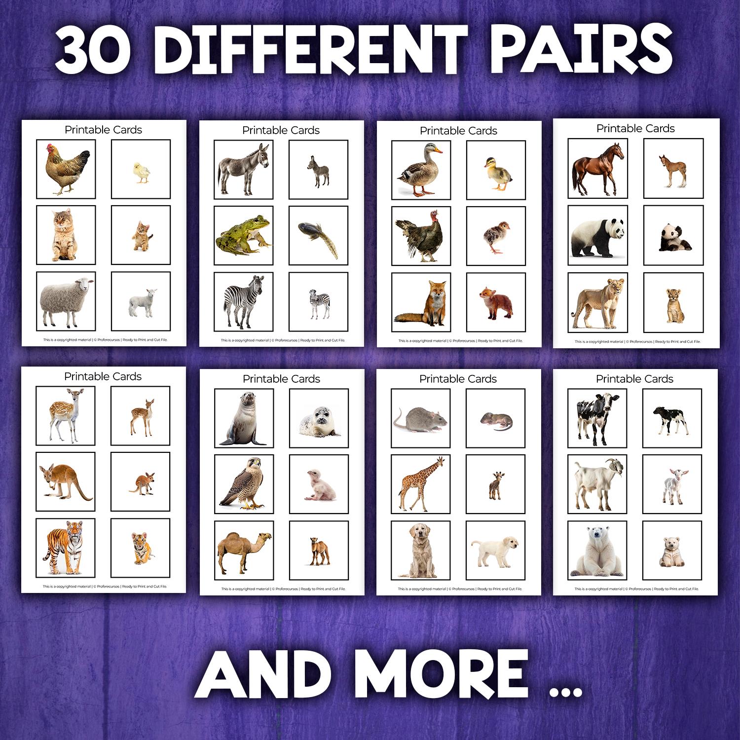 Big and Small Sorting Activity | Sorting by Size Activity | Basic ...