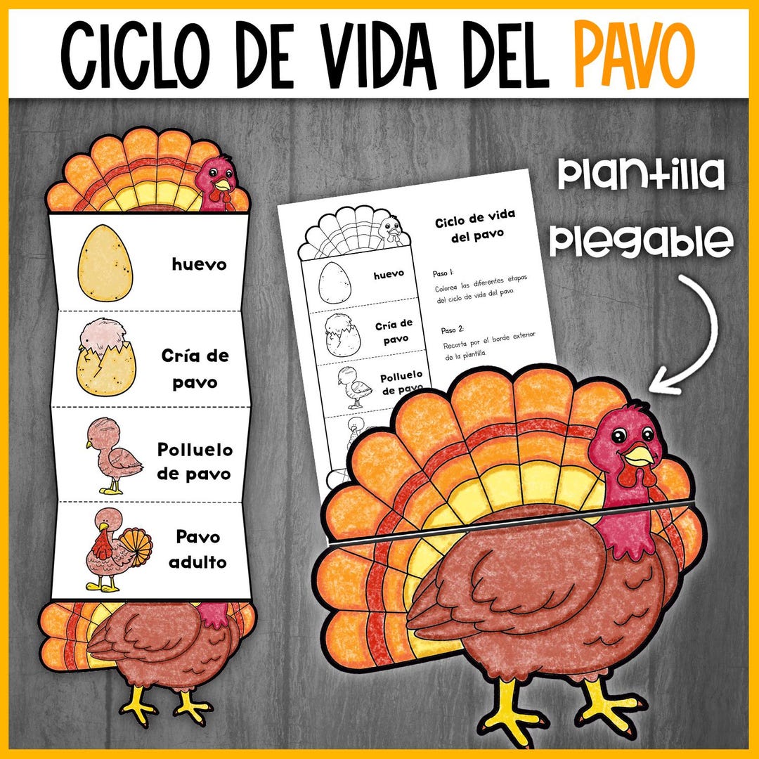 Spanish Turkey Life Cycle Craft | Thanksgiving Craft | Spanish Turkey ...