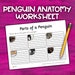 Parts of a Penguin Anatomy of a Penguin Parts for Kids Penguin Labeled ...