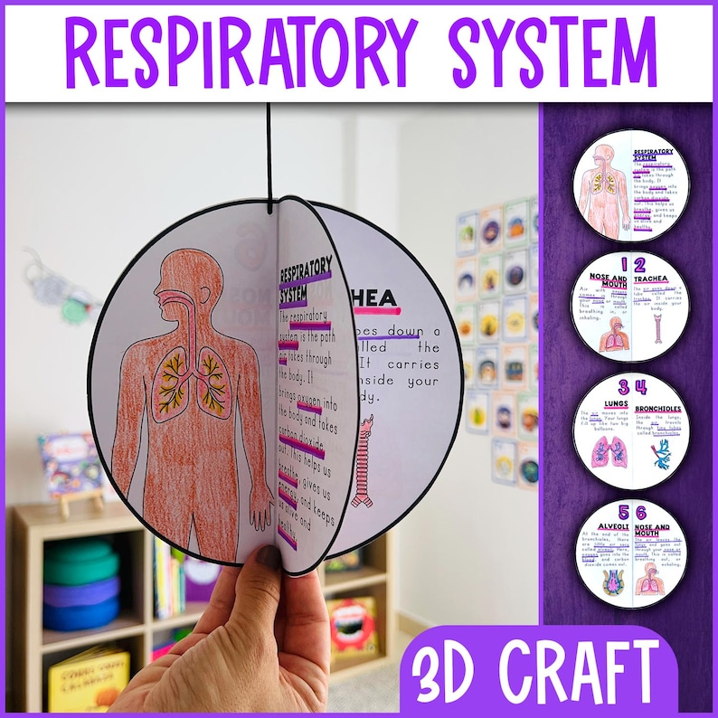 Human Body Systems Science Activities | Science 3D Craft Activity ...
