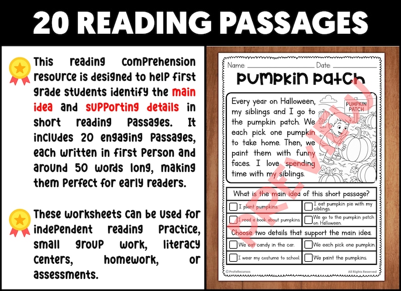 Identifying the Main Idea Reading Comprehension Passages | First Grade ...