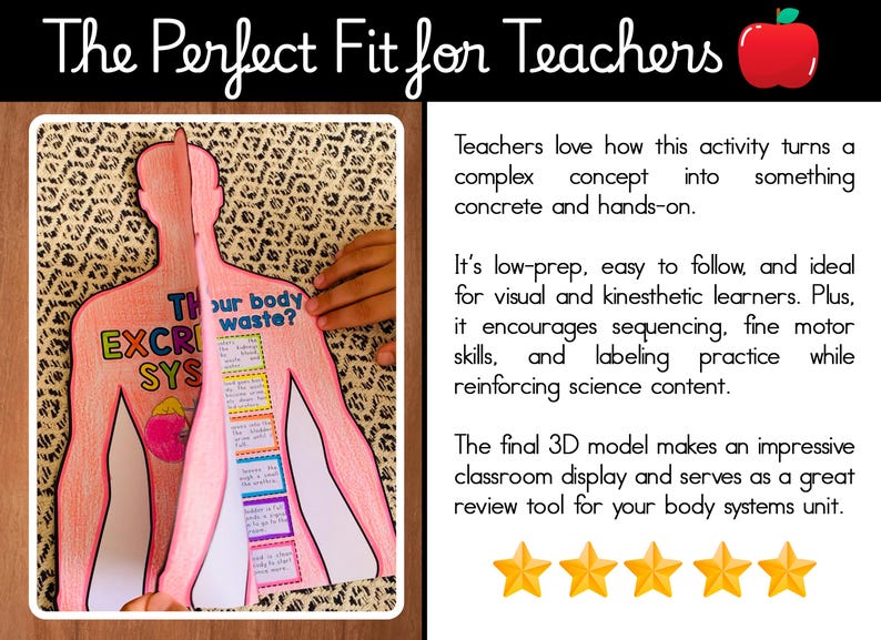 Excretory System 3D Craft | Human Body Science Activity | Printable ...