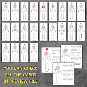 Human Skeleton Montessori Cards 3-part Cards Nomenclature Cards ...
