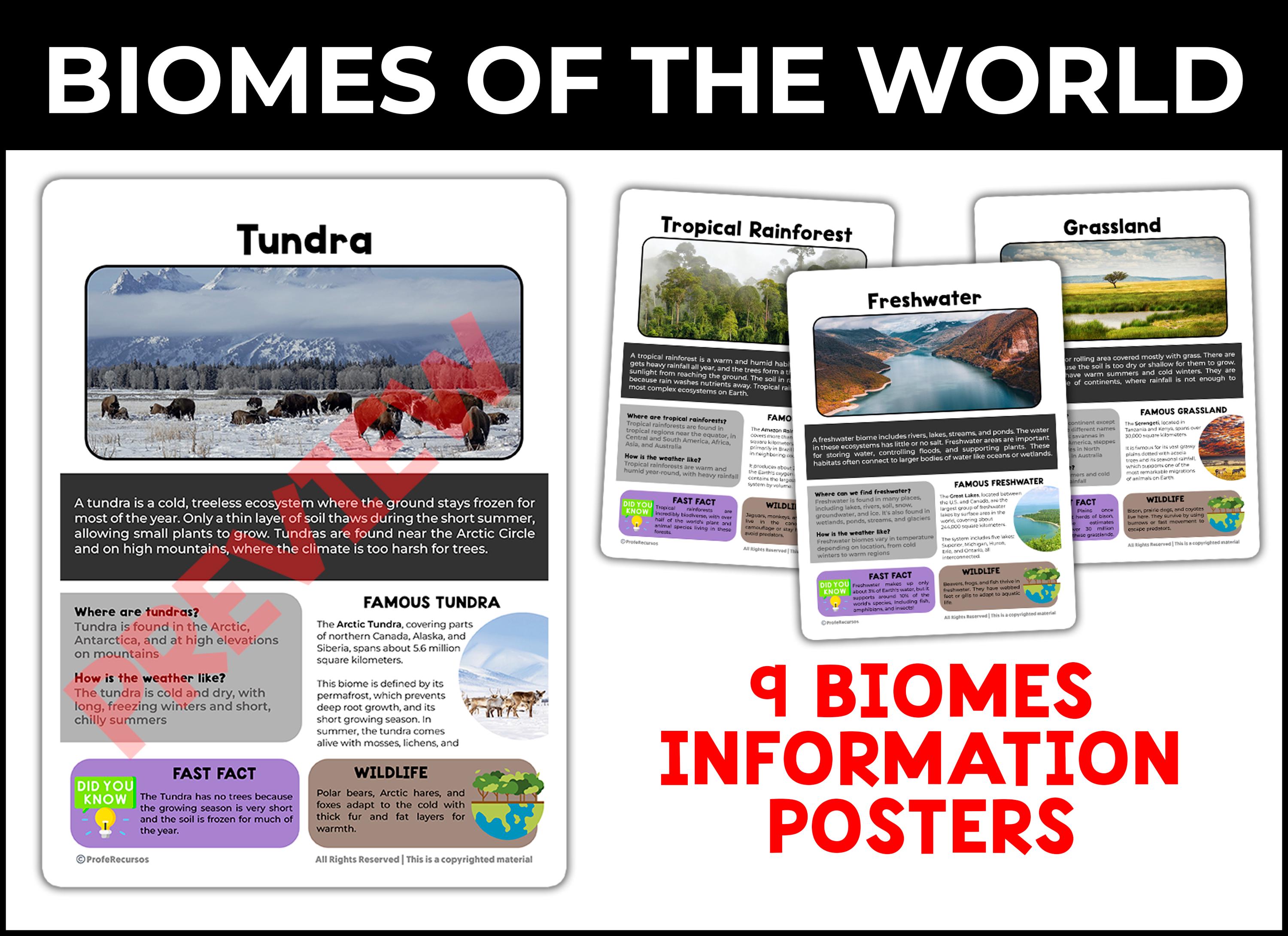 Biomes Information Posters | Reading Passages | Habitats of the World ...