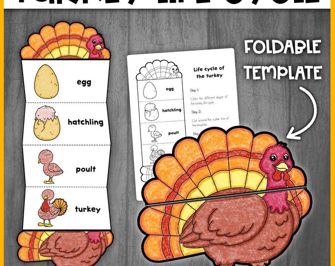 Turkey Life Cycle Craft Activity | Thanksgiving Turkey Craft ...