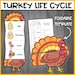 Turkey Life Cycle Craft Activity | Thanksgiving Turkey Craft ...
