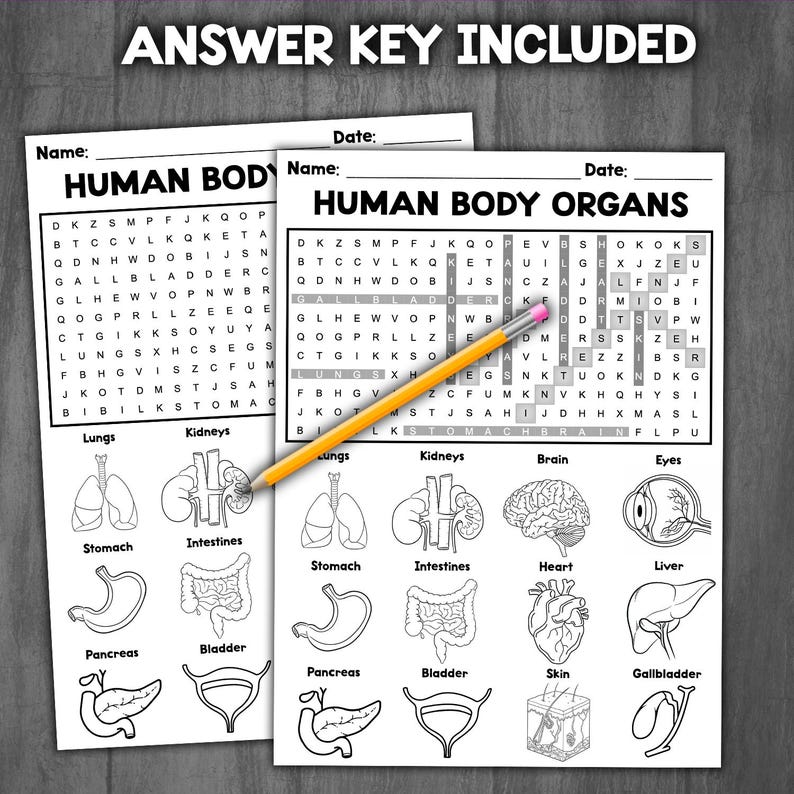 Human Body Systems Activity Worksheet | Organ Systems Word Search Body ...