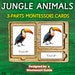 Jungle Animals Flashcards | Montessori 3-part Cards | Jungle Animals ...