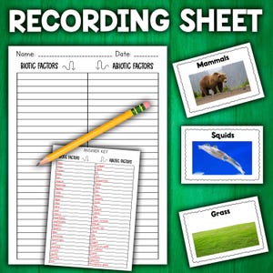 Biotic & Abiotic Factors Card Sort Activity | Components of Ecosystem ...