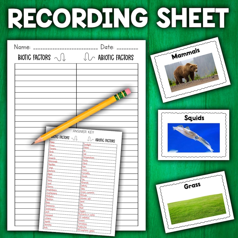 Biotic & Abiotic Factors Card Sort Activity | Components of Ecosystem ...