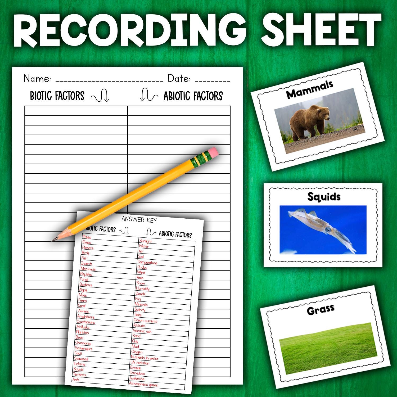 Biotic & Abiotic Factors Card Sort Activity | Components of Ecosystem ...