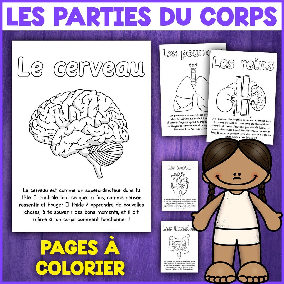French Body Parts Coloring Pages | Coloriage Organs Et Parties Du Corps ...