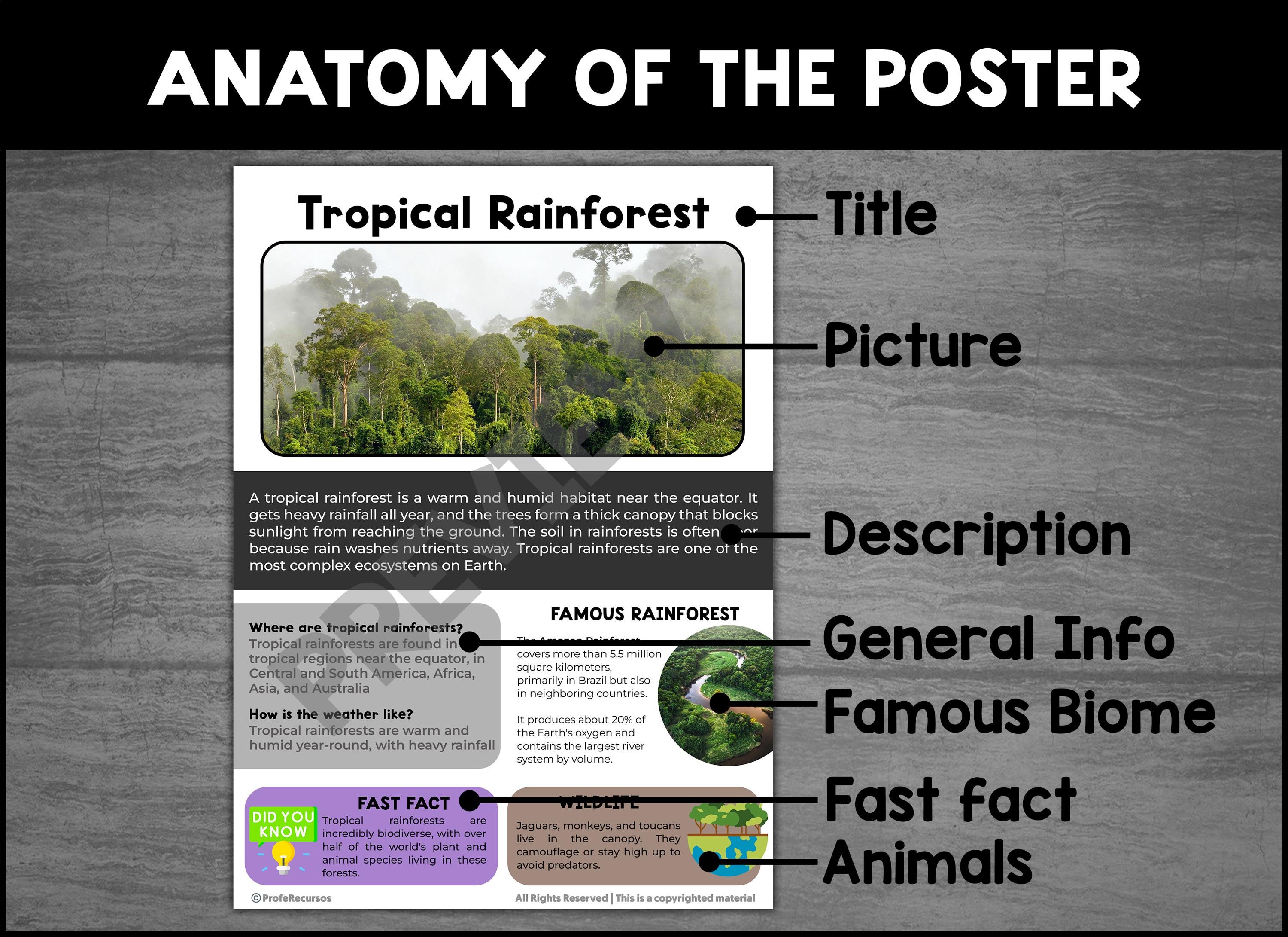 Biomes Information Posters | Reading Passages | Habitats of the World ...