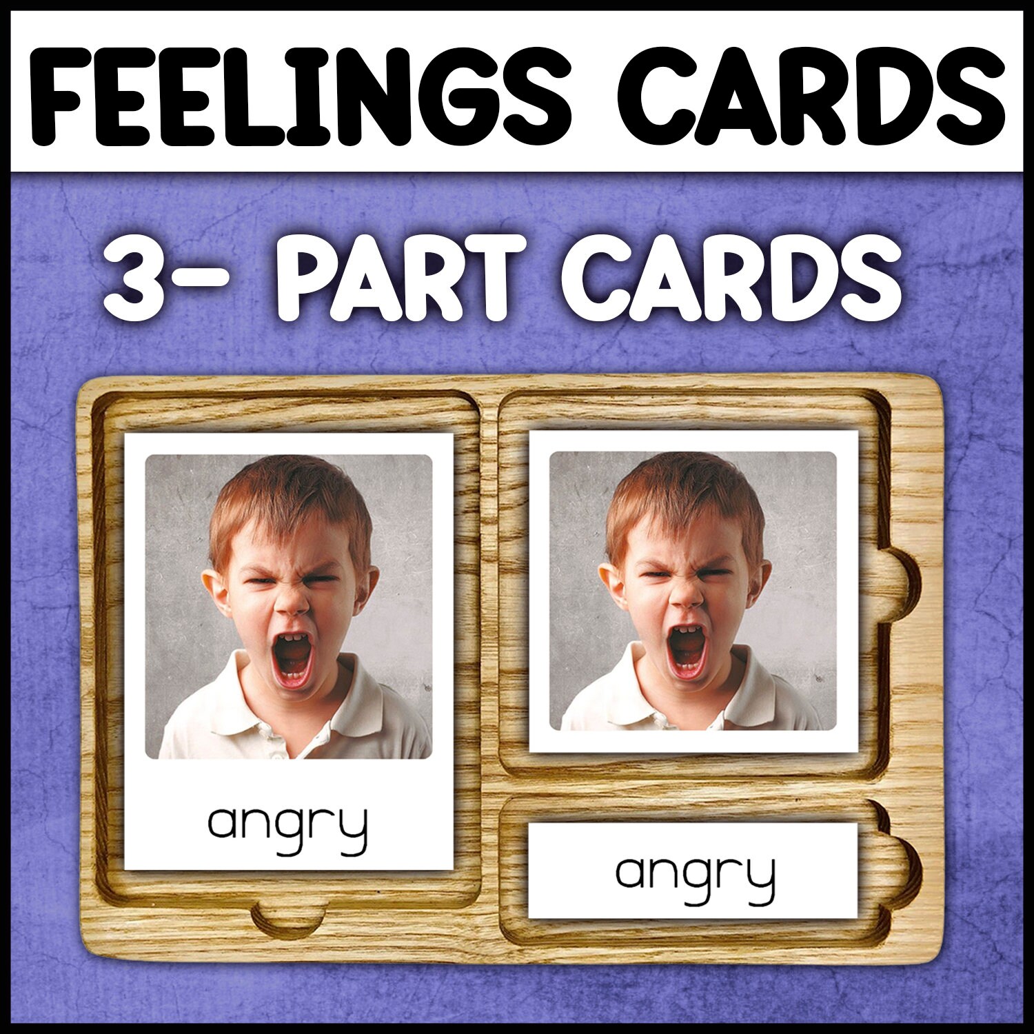 Feelings & Emotions Flashcards | Autism Cards Special Education | 3 ...