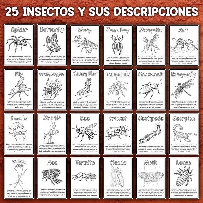 Spanish Insects Coloring Pages for Kids With Fun Facts | Insects and ...