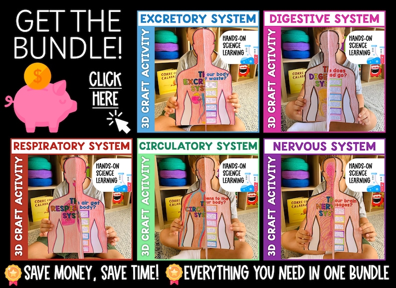 Digestive System 3D Craft | Human Body Science Activity | Printable ...