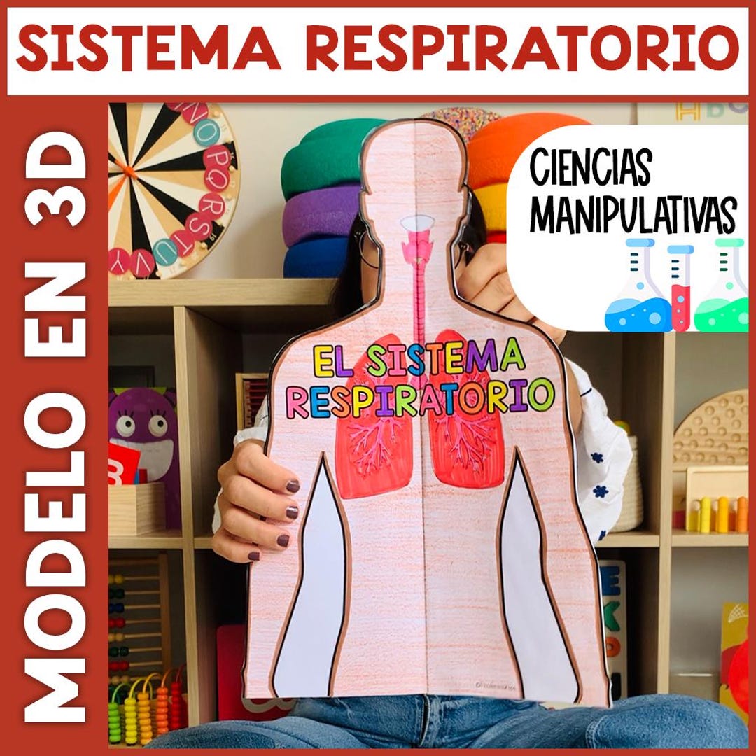 Parts of the Respiratory System | Science Activity | 3D Model of the ...