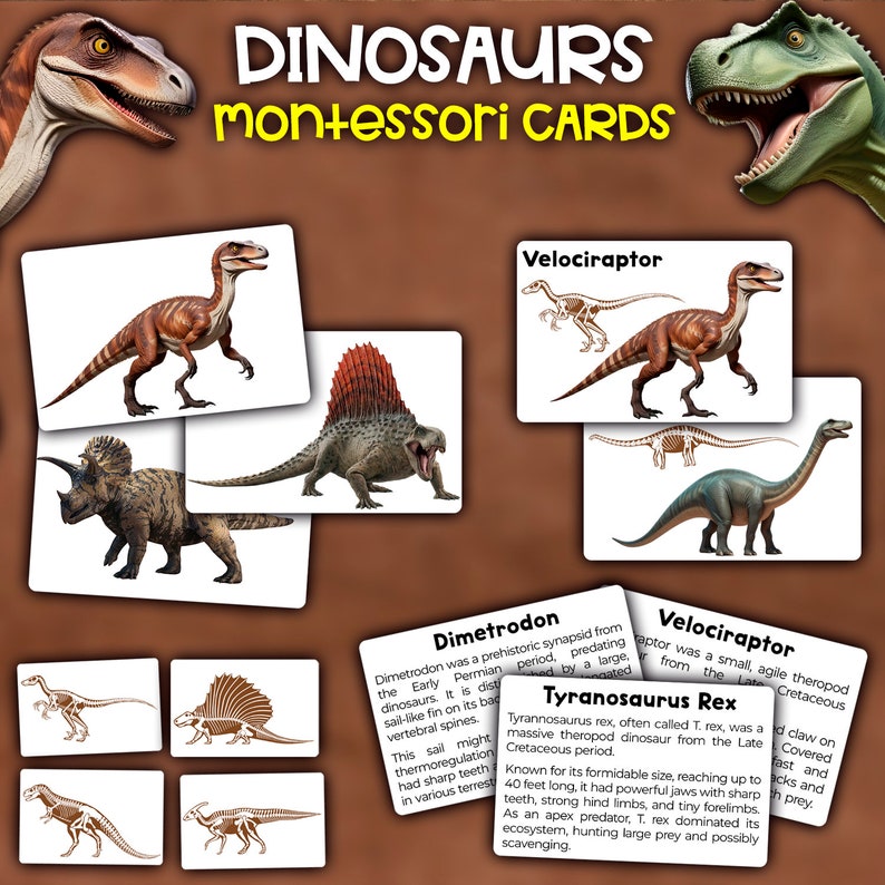 Dinosaur Fossil Matching | Montessori Dinosaurs | Dinosaurs Flashcards ...