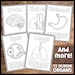 Human Anatomy Coloring Pages | Human Body Organs for Kids - Etsy