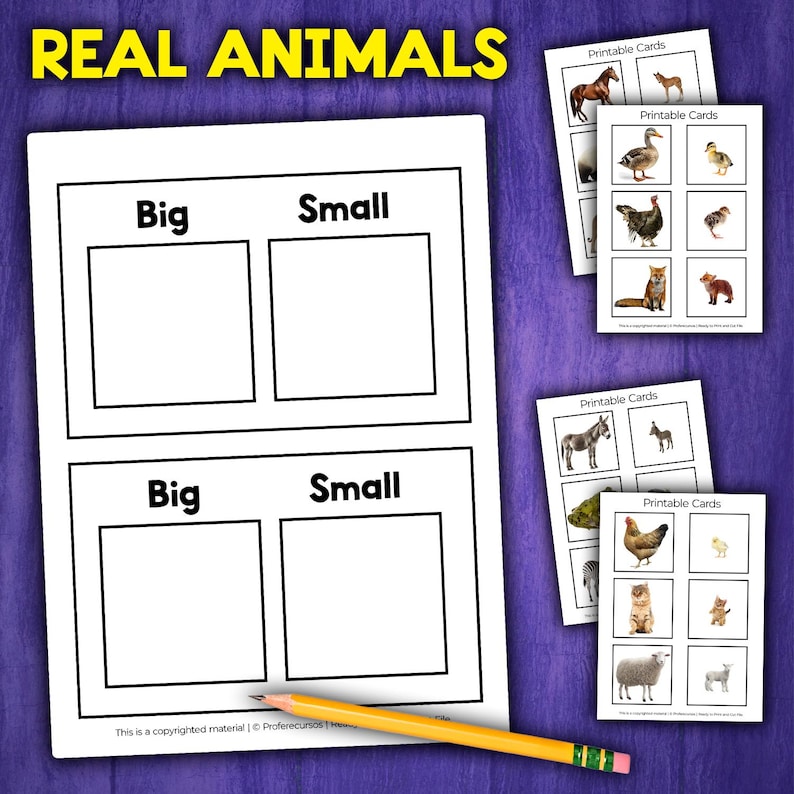 Big and Small Sorting Activity | Sorting by Size Activity | Basic ...