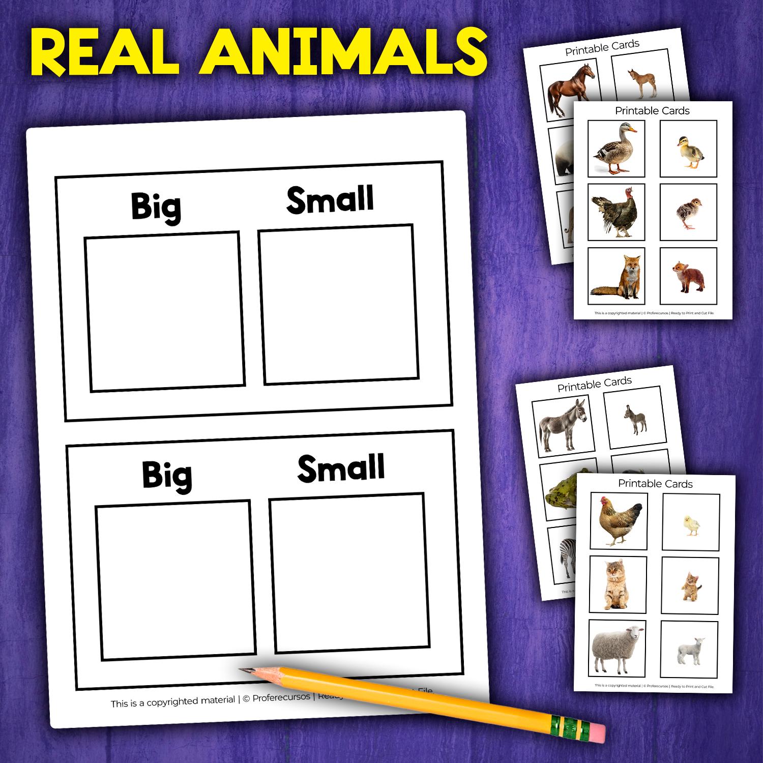 Big and Small Sorting Activity | Sorting by Size Activity | Basic ...
