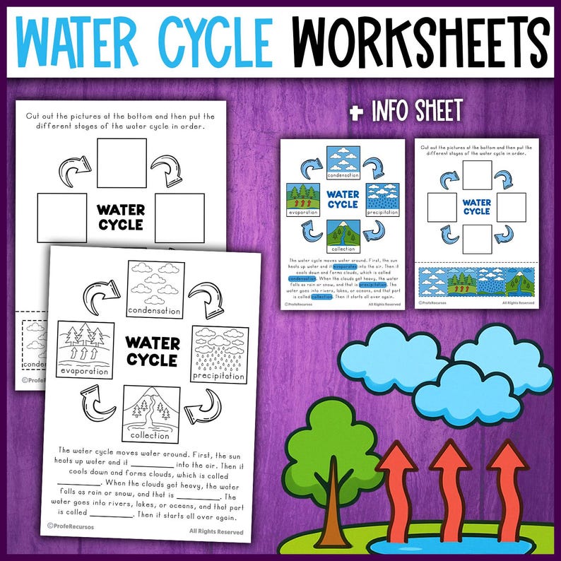 Water Cycle Activity | Cut and Paste Activities | Sorting Activity ...