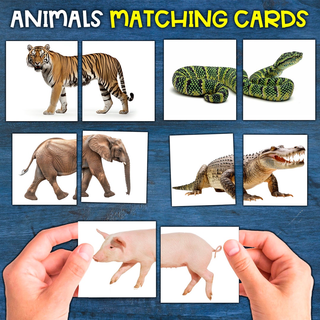 Animal Puzzles Matching Cards | Symmetry Activities | Montessori ...