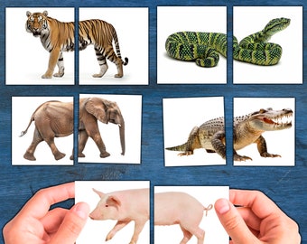 Animal Puzzles Matching Cards | Symmetry Activities | Montessori ...