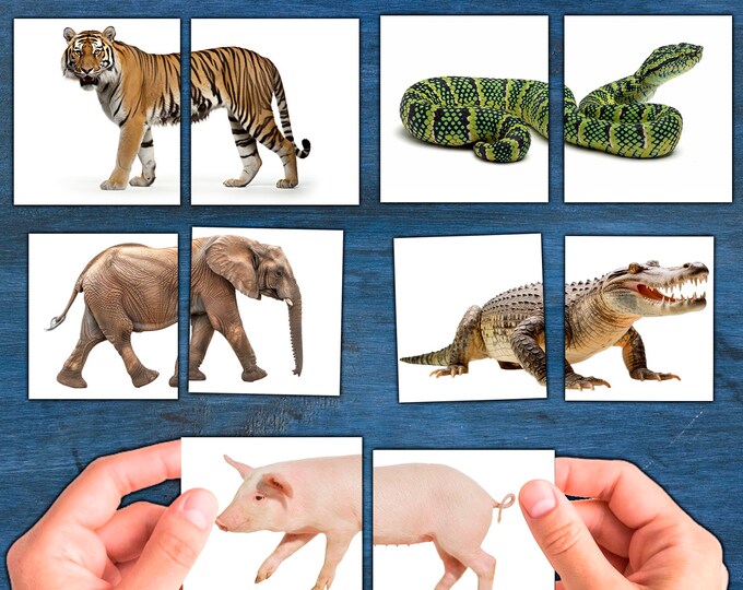 Animal Puzzles Matching Cards | Symmetry Activities | Montessori ...