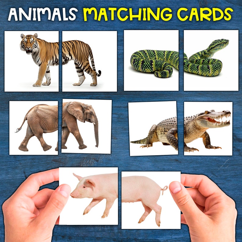 Animal Puzzles Matching Cards | Symmetry Activities | Montessori ...