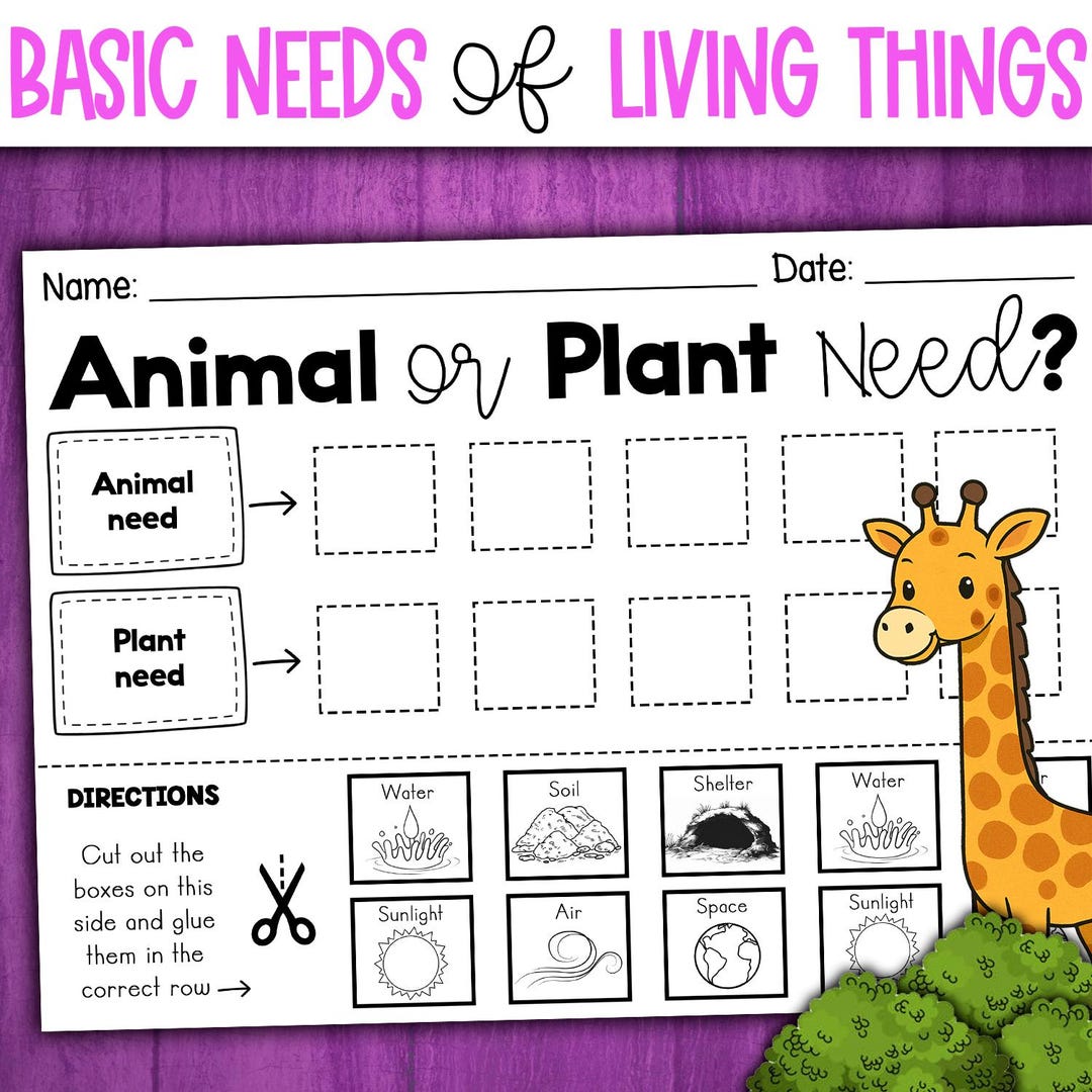 Basic Needs of Living Things | Animal & Plant Need Worksheet Sorting ...